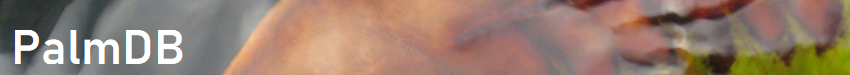 PalmDB home